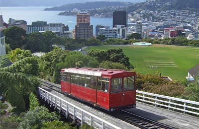 Wellington Ferry. Compare Prices, Times & Book Cheap Tickets